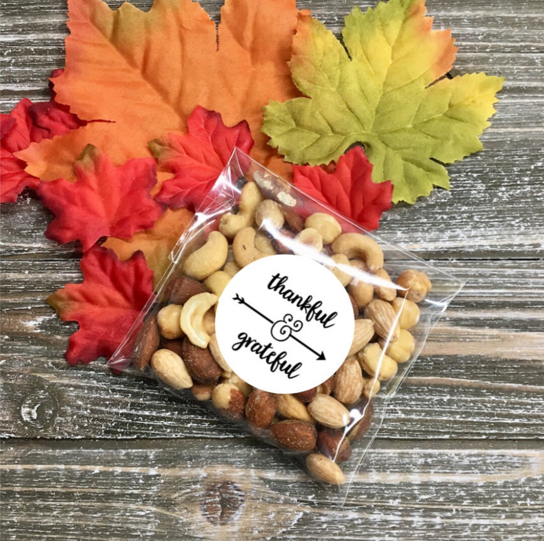 Thanksgiving Favors, Stickers and Bags, Set of 20, Thankful & Grateful ...