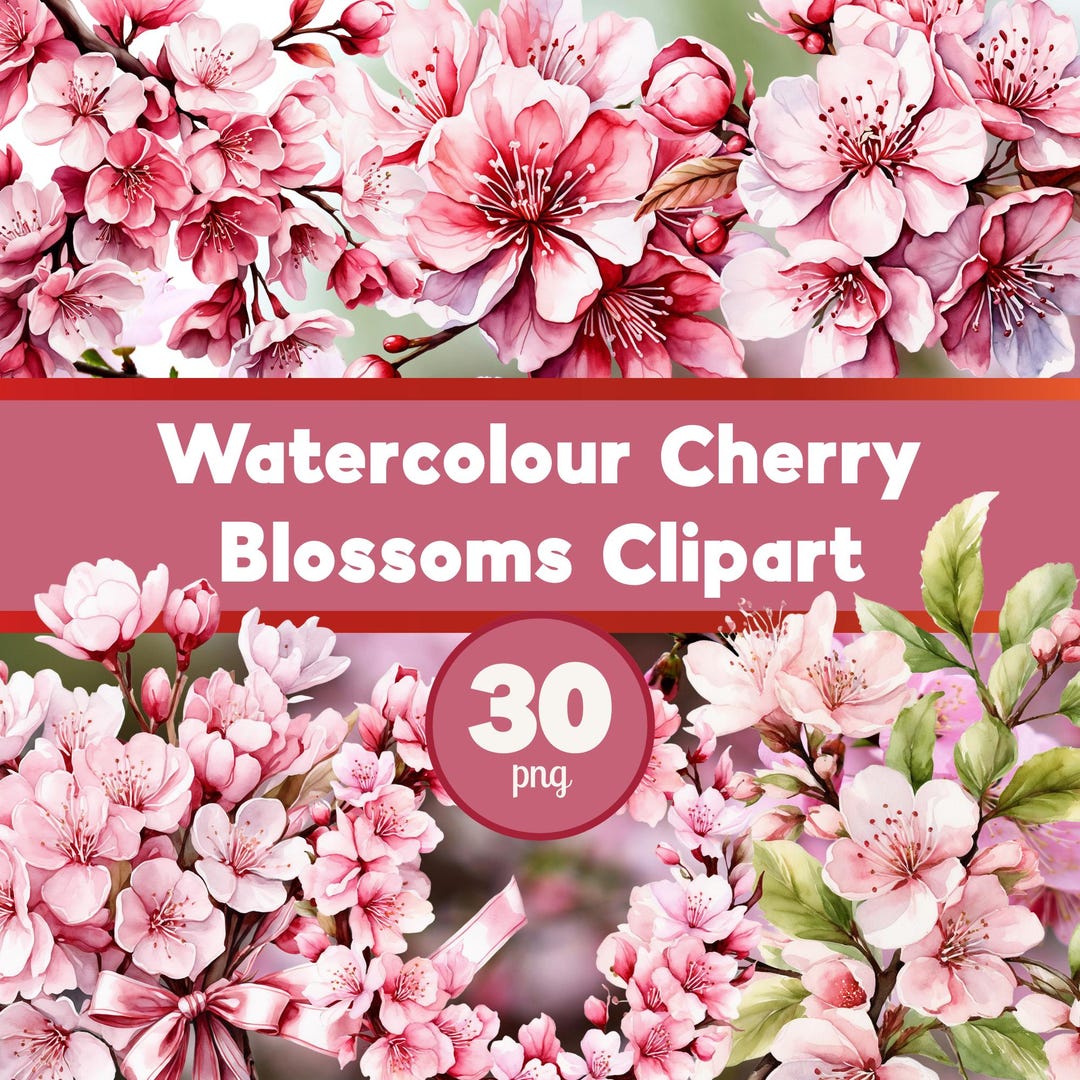 Watercolour Cherry Blossoms Clip Art Bundle, Dark Romance Flowers (PNG ...