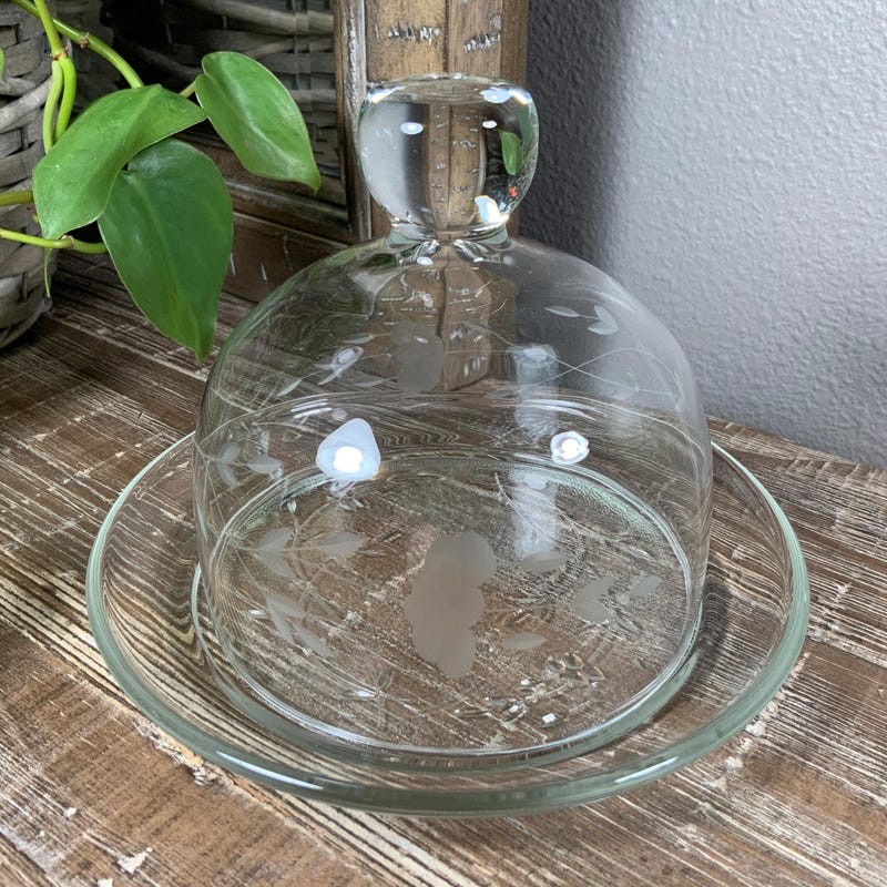 Cheese Cloche - Etsy