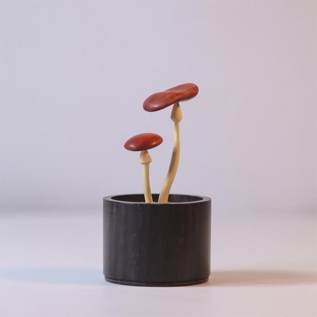 Mini Mushroom Essential Oil Diffuser | Wooden Car Air Freshener ...