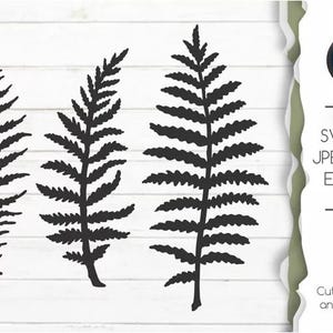 Set of Fern Leaves SVG PNG Clipart, Wild Flower SVG - Etsy