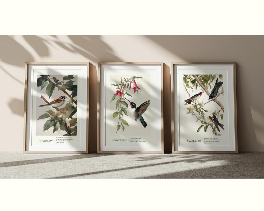 Whisper of Wings – 4 Piece Bird Art Print Set, Vintage Nature Wall ...
