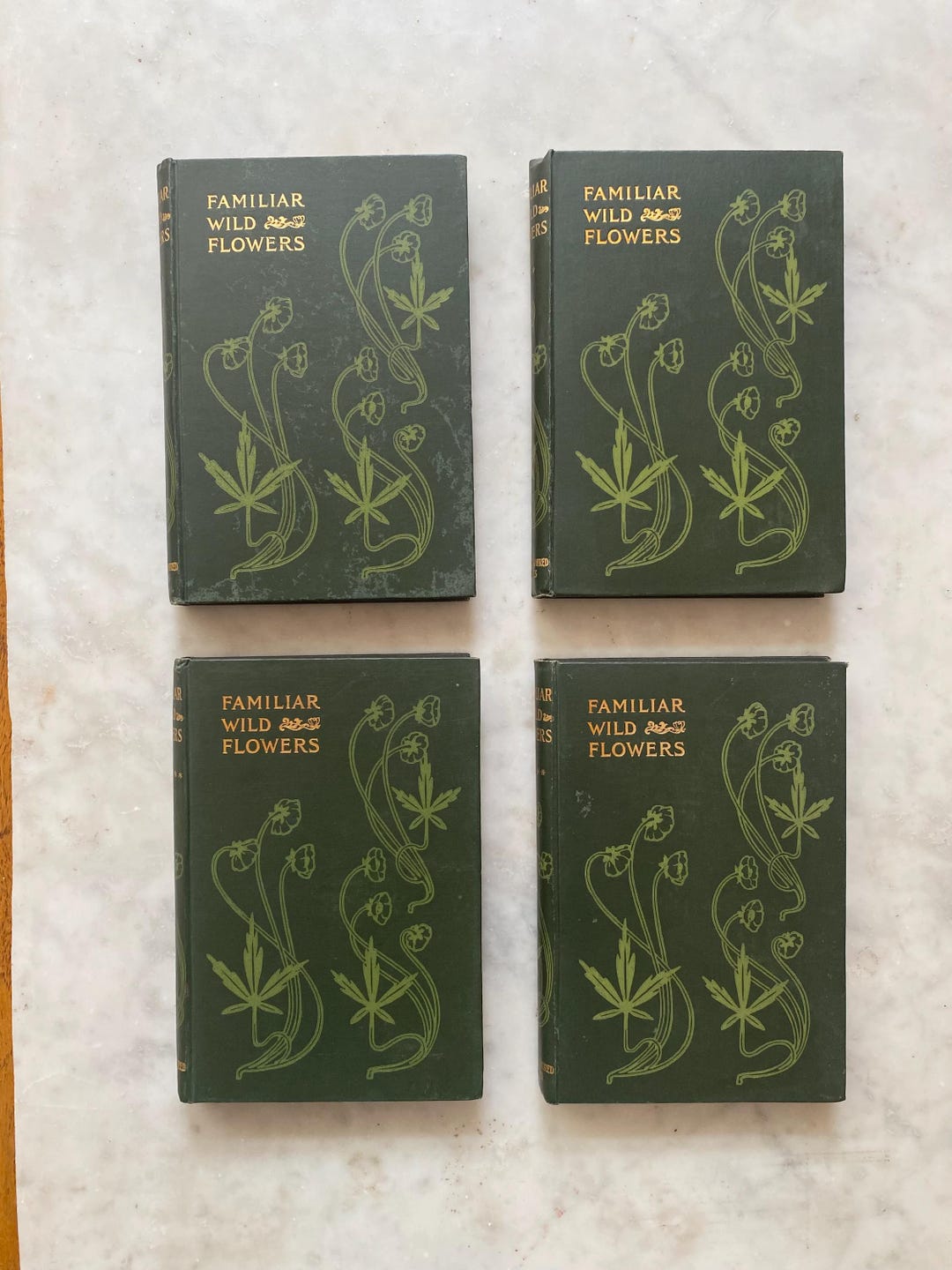 Antique Wildflower Books: F. Edward Hulme Botanical Prints, 4 Volume ...