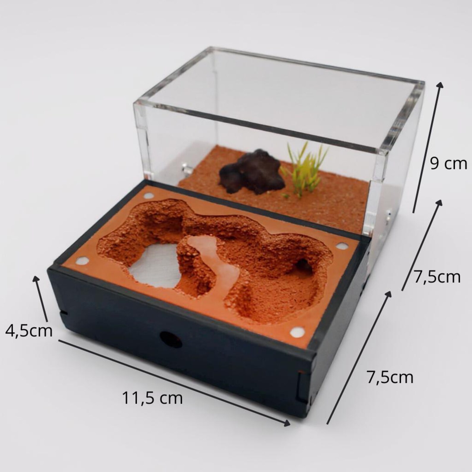 Ant Farm With Yellow Base – External Water Tower, Waste Area & Queen ...