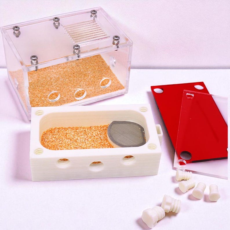 3D Acrylic Ant Farm: Mini Queen Ant Nest With Water Tower - Etsy