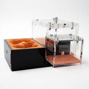 Ant Farm With Yellow Base – External Water Tower, Waste Area & Queen ...