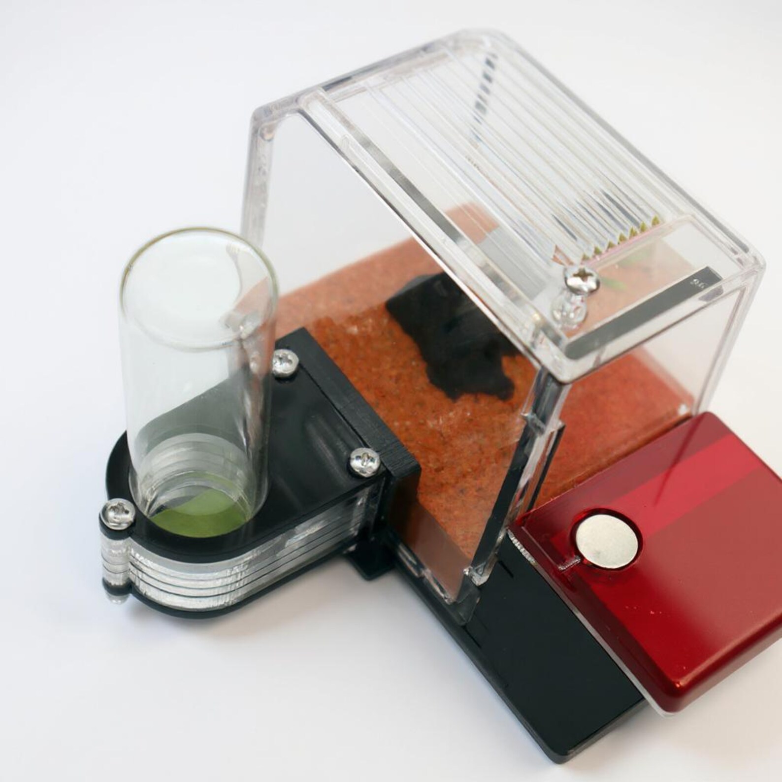 Ant Farm With Yellow Base – External Water Tower, Waste Area & Queen ...