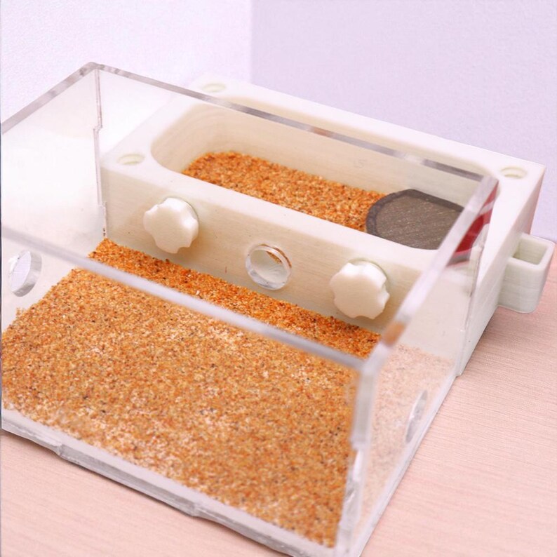 3D Acrylic Ant Farm With Water Tower – Mini Nest for Queen Ants & Small ...