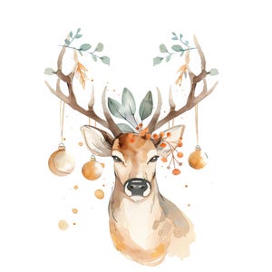 Watercolor Deer Christmas Clipart, 24 PNG Set, Rustic Reindeer ...