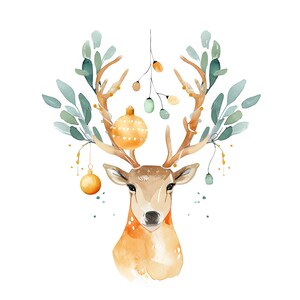 Watercolor Deer Christmas Clipart, 24 PNG Set, Rustic Reindeer ...