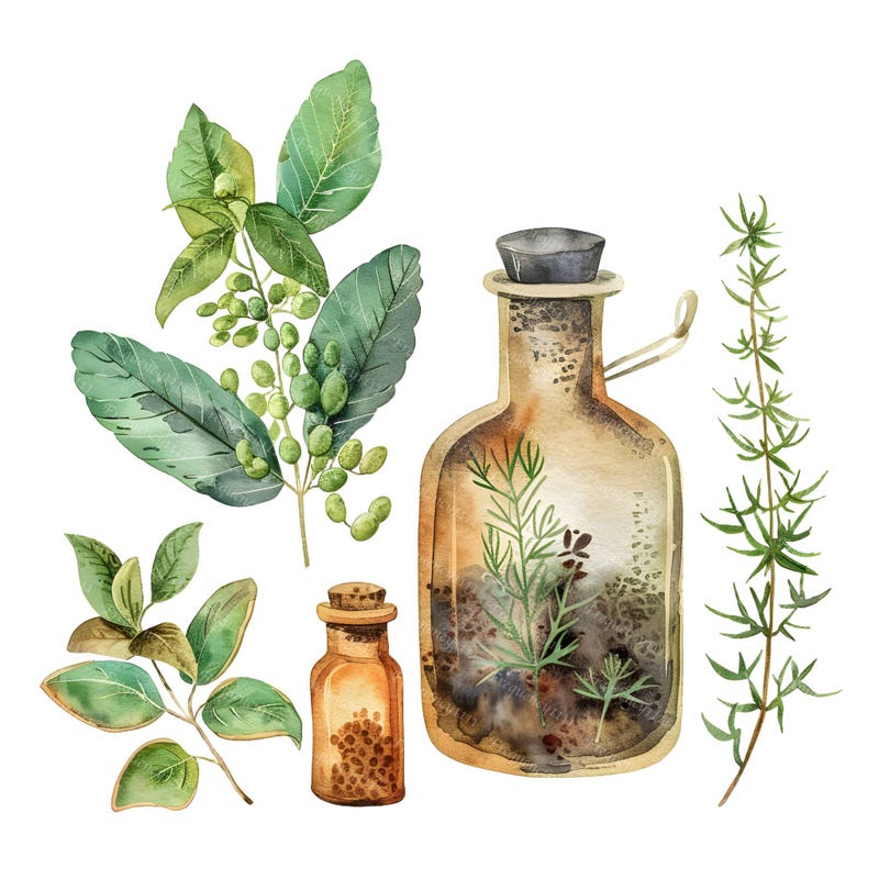 Essential Oil Clipart - Etsy