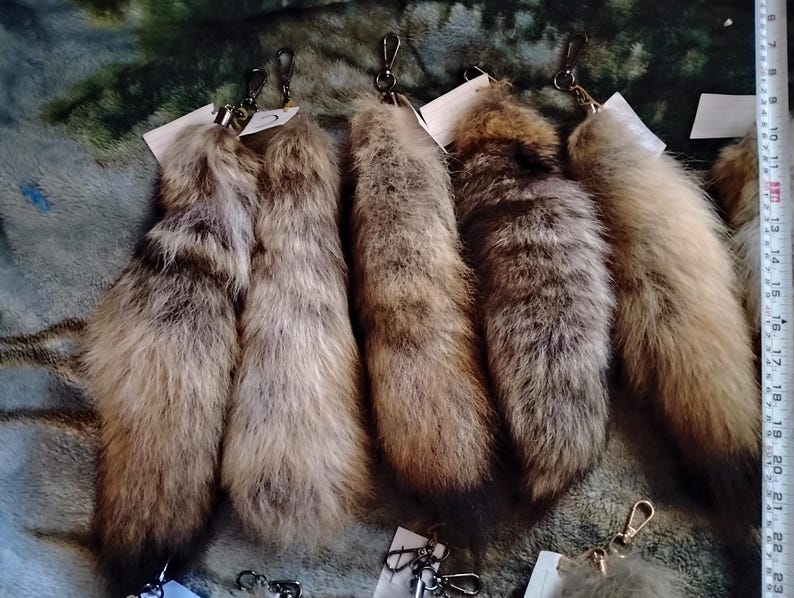 Taxidermy Coyote Tails, Ethically Sourced, Soft, Fluffy, High Quality ...