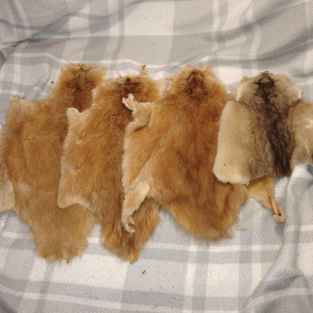 Medium Quality Muskrat Pelts, Ethically Sourced. Great for Crafts and ...