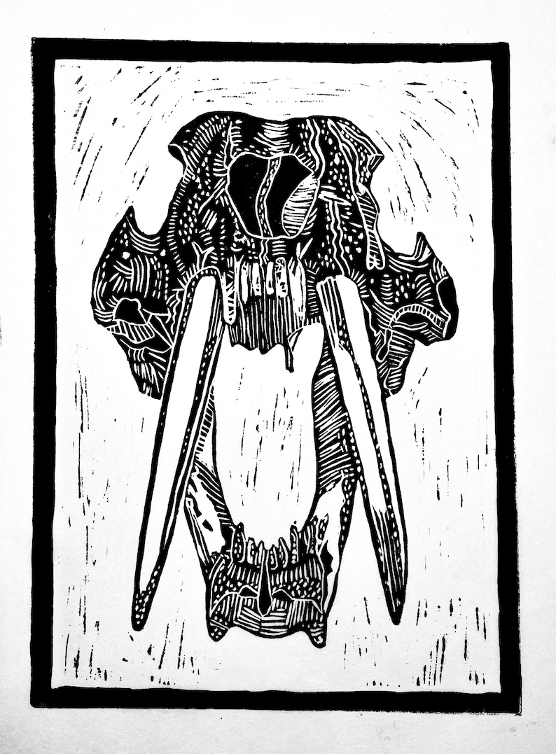 Sabertooth Tiger Art Print, Hand-carved, Hand-pulled 9"x12" Linocut - Etsy