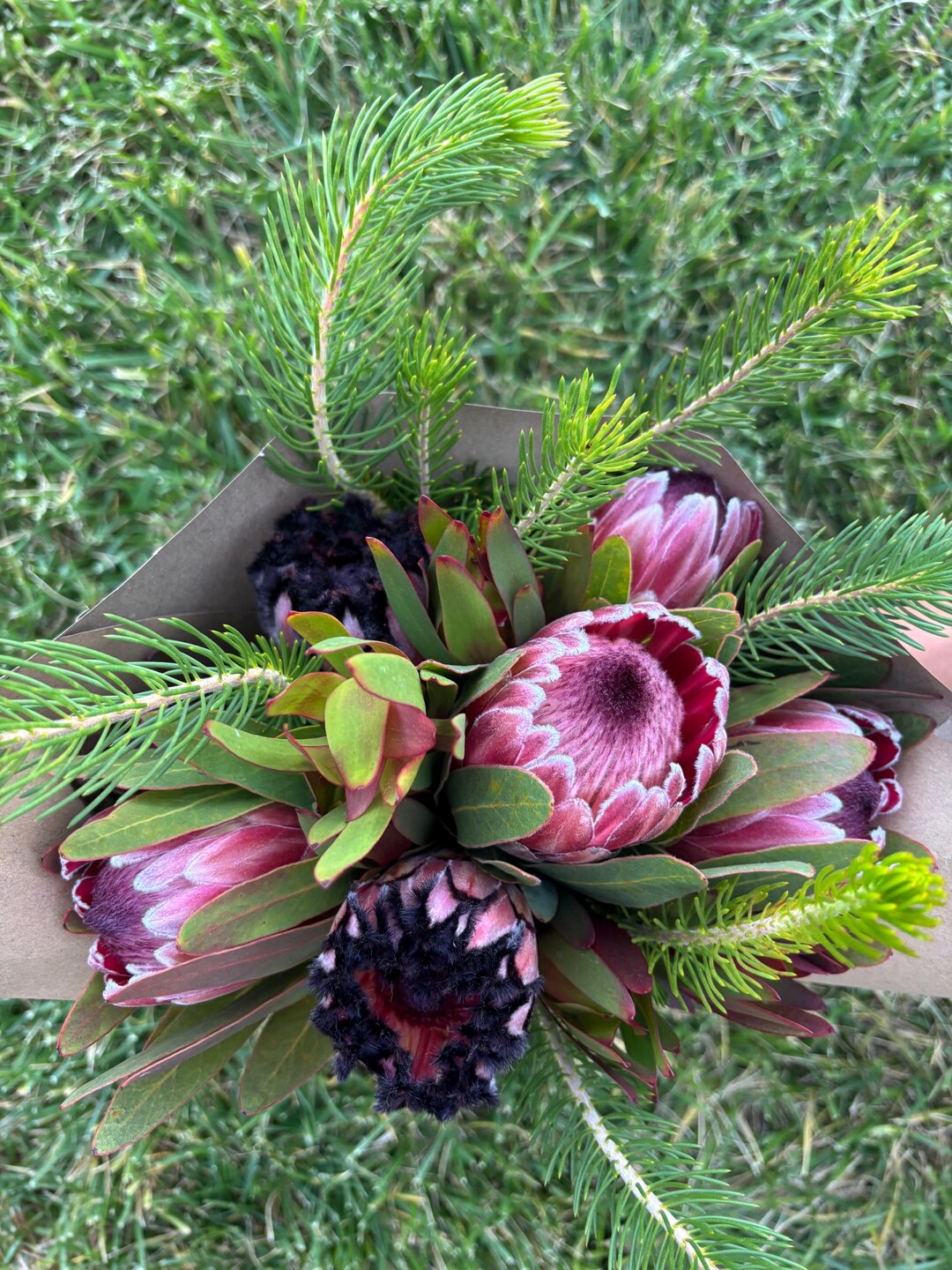 Fresh Cut Protea Bouquet, Hand-cut Floral Arrangement - Etsy