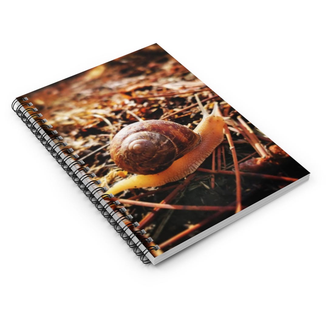 Snail Spiral Notebook With Snail Design | Ideal for Journaling, Note ...