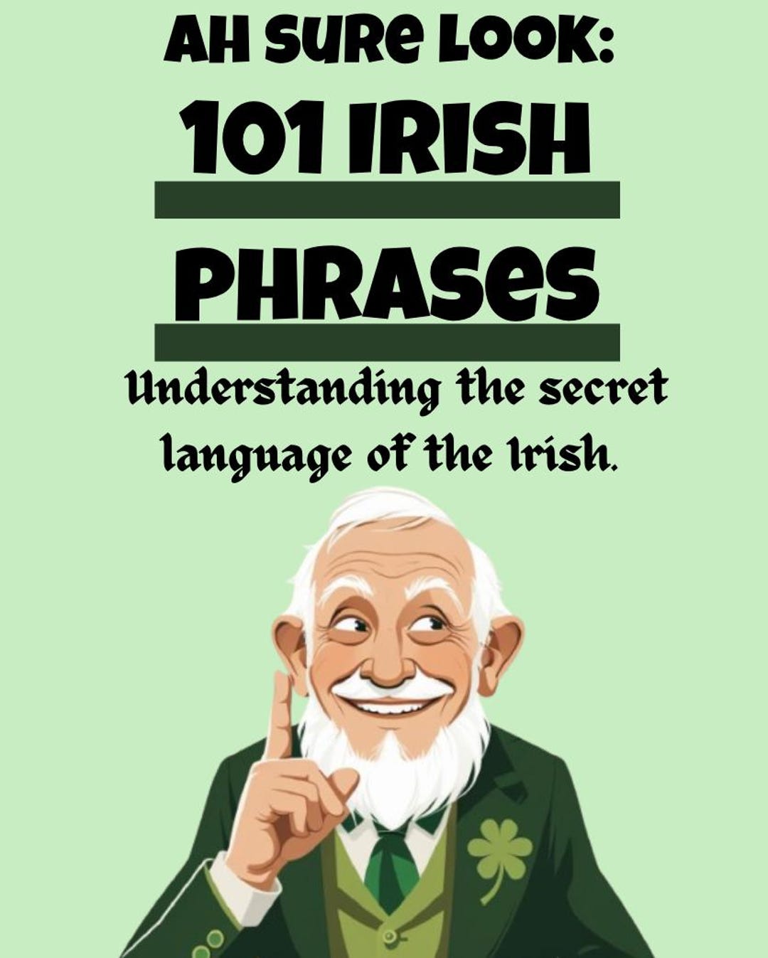 Ah Sure Look: 101 Irish Phrases, Understanding the Secret Language of ...