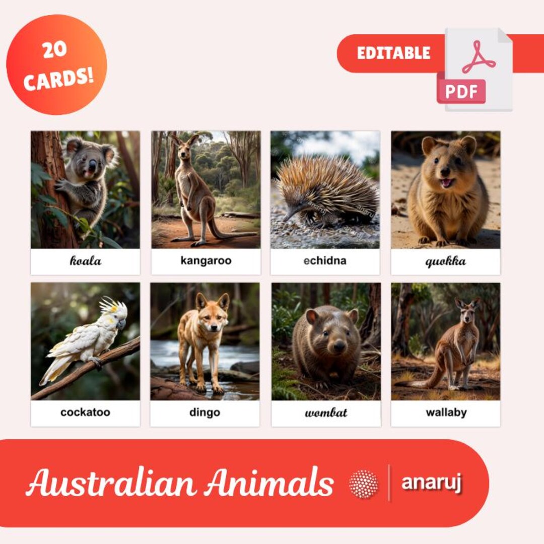 20 Australian Animals Flashcards - Montessori Cards - Etsy