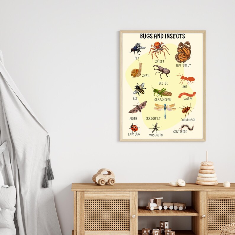 Bugs and Insects Poster for Kids – Printable Learning Chart, Preschool ...