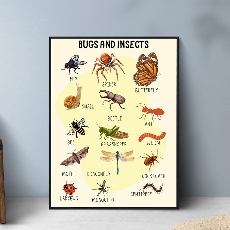Bugs and Insects Poster for Kids – Printable Learning Chart, Preschool ...