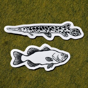 Large Mouth Bass & Alligator Gar Stickers. Hand Drawn. Ink Illustration ...