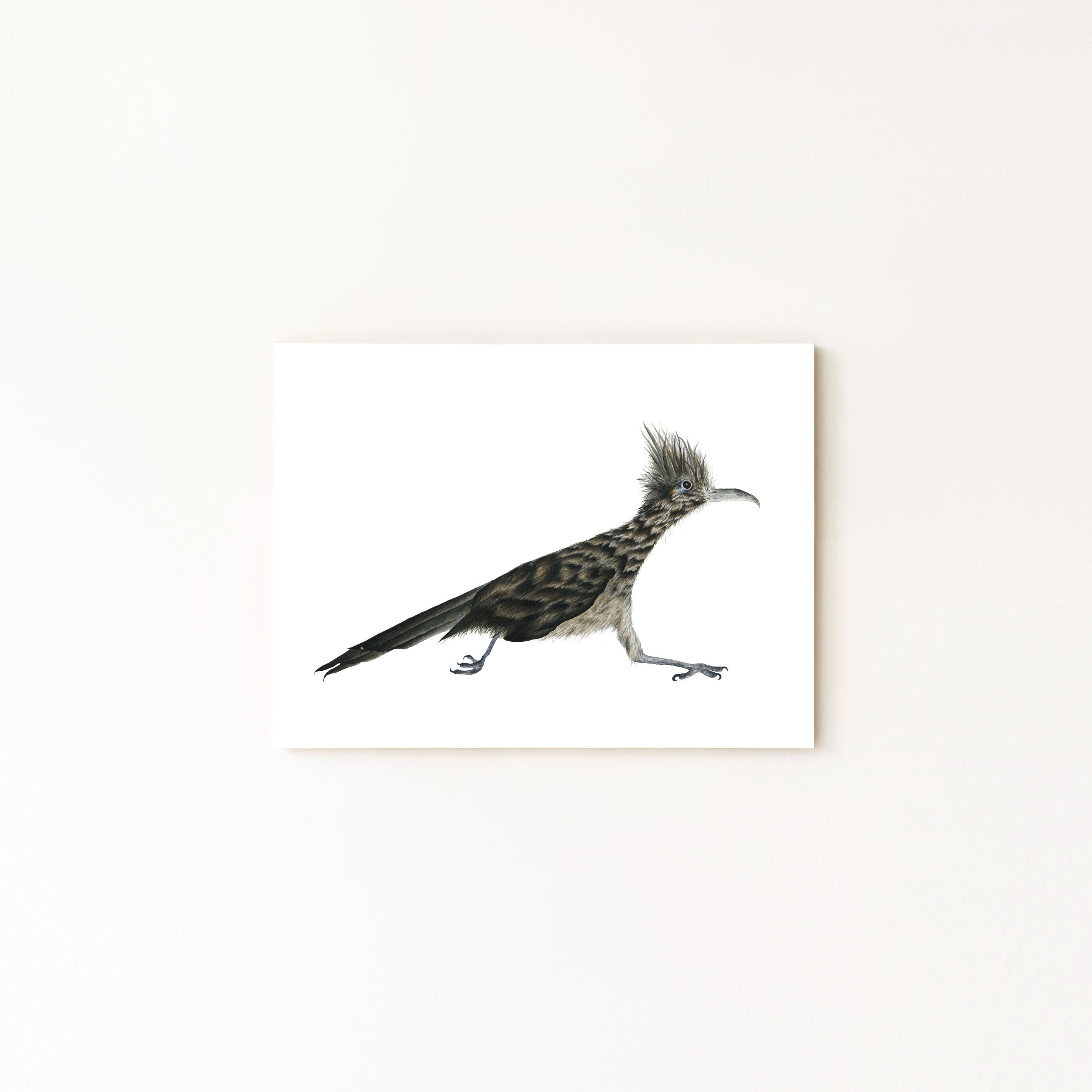 Road Runner Bird Drawing