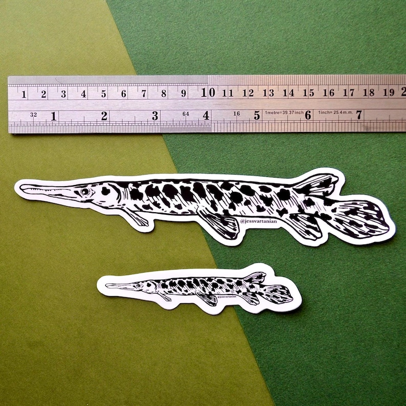 Alligator Gar Fish. Jumbo Sticker. Hand Drawn. Ink Illustration. Matte ...