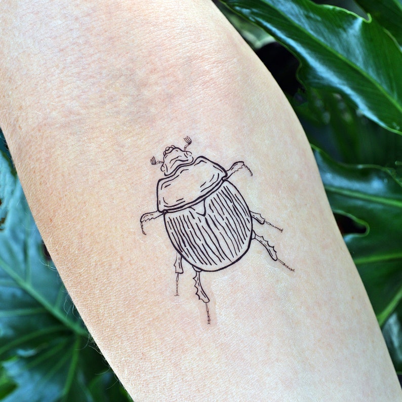 Florida Beetles Temporary Tattoo Pack of Two. 2x2. Gopher Tortoise ...