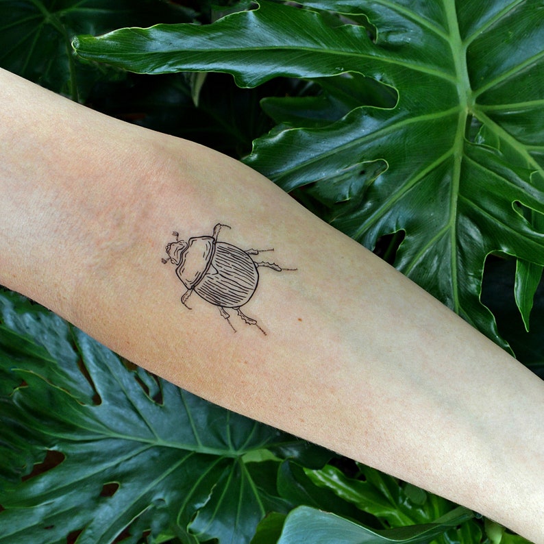 Florida Beetles Temporary Tattoo Pack of Two. 2x2. Gopher Tortoise ...