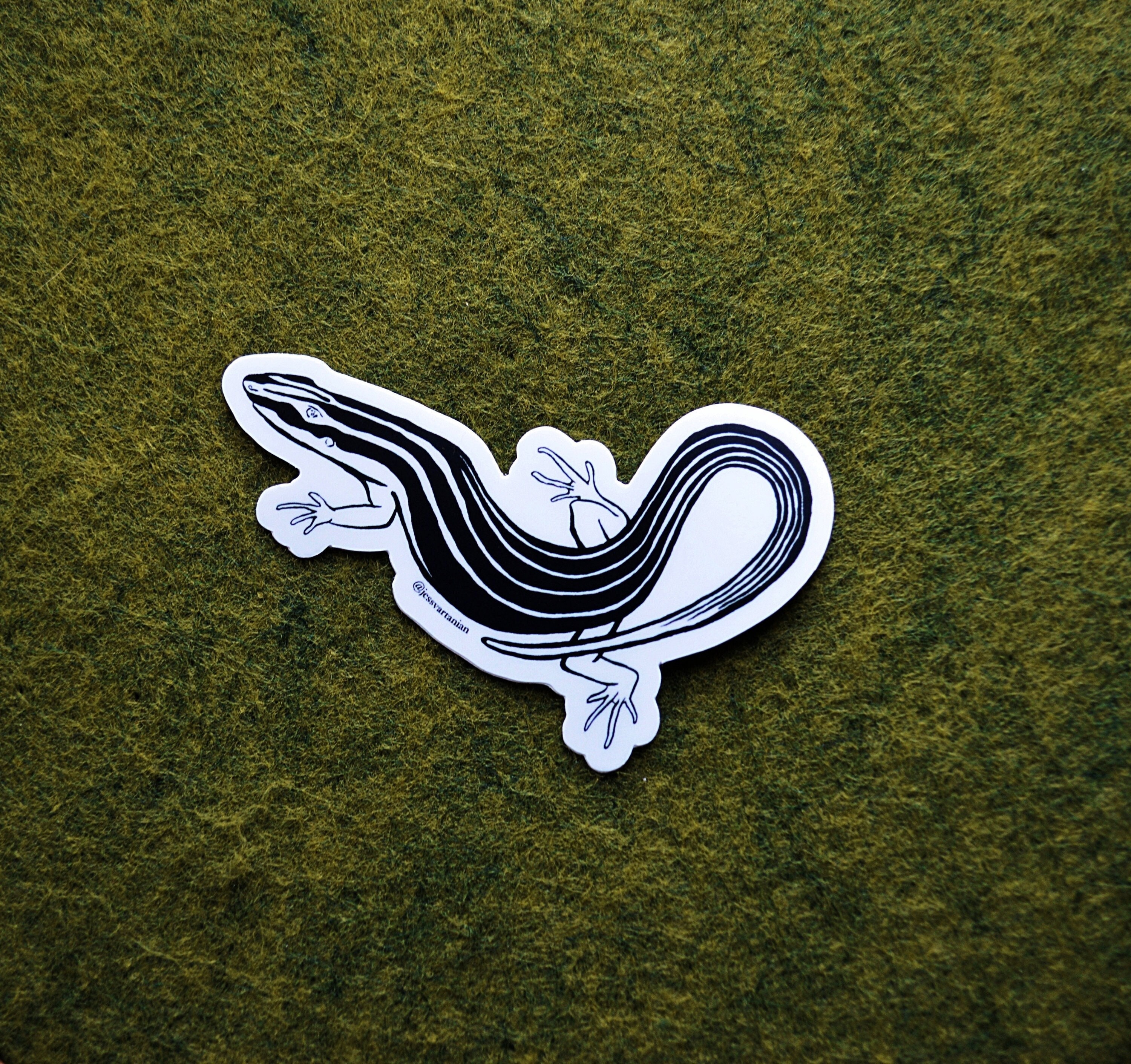 Six Lined Racerunner Lizard Sticker. Hand Drawn. Waterproof Matte Vinyl ...