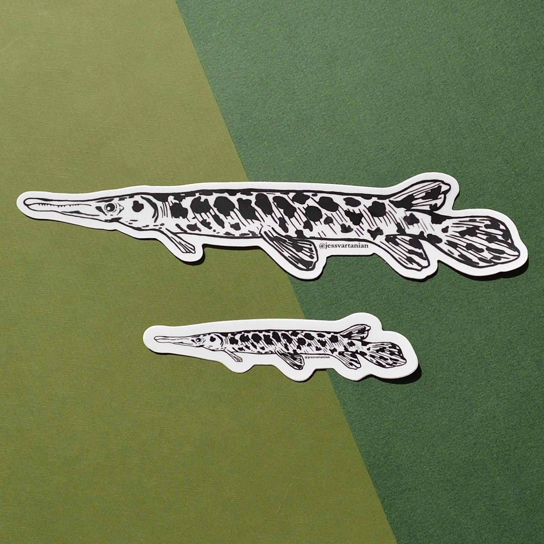 Alligator Gar Fish. Jumbo Sticker. Hand Drawn. Ink Illustration. Matte ...