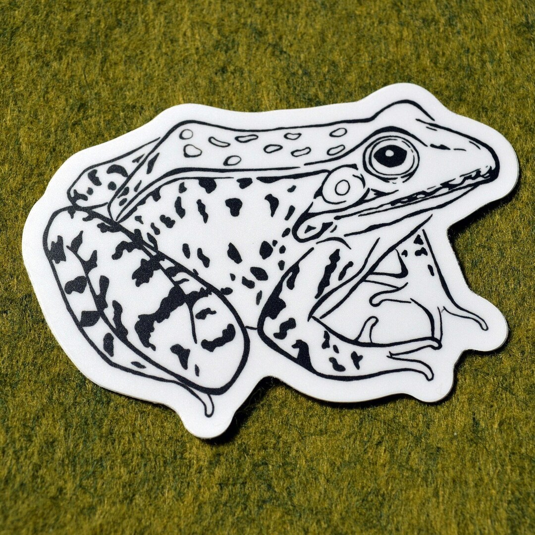 Southern Leopard Frog Sticker. Hand Drawn. Ink Illustration. Matte ...