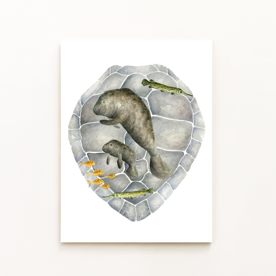 Florida Manatee, Green Sea Turtle, & Alligator Gar Print. Hand Drawn ...
