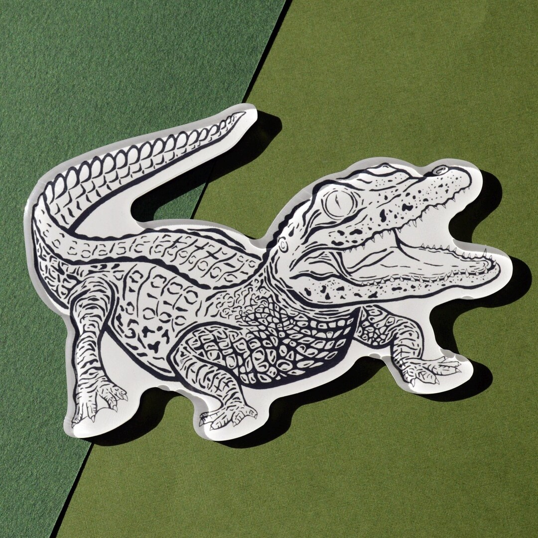 Alligator Magnet. Gator. Ink Illustration. Hand Drawn Illustration ...