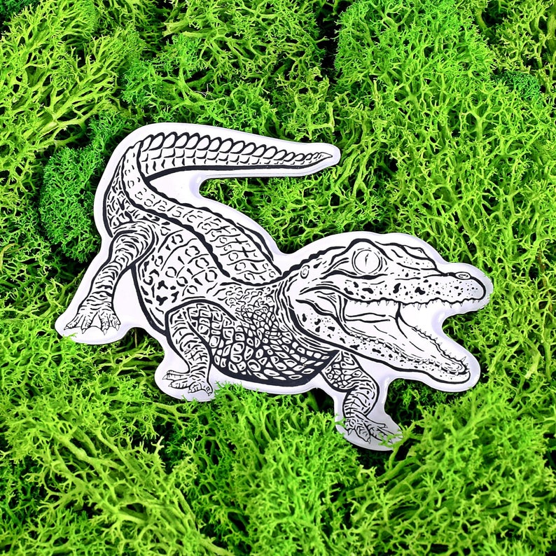 Alligator Magnet. Gator. Ink Illustration. Hand Drawn Illustration ...