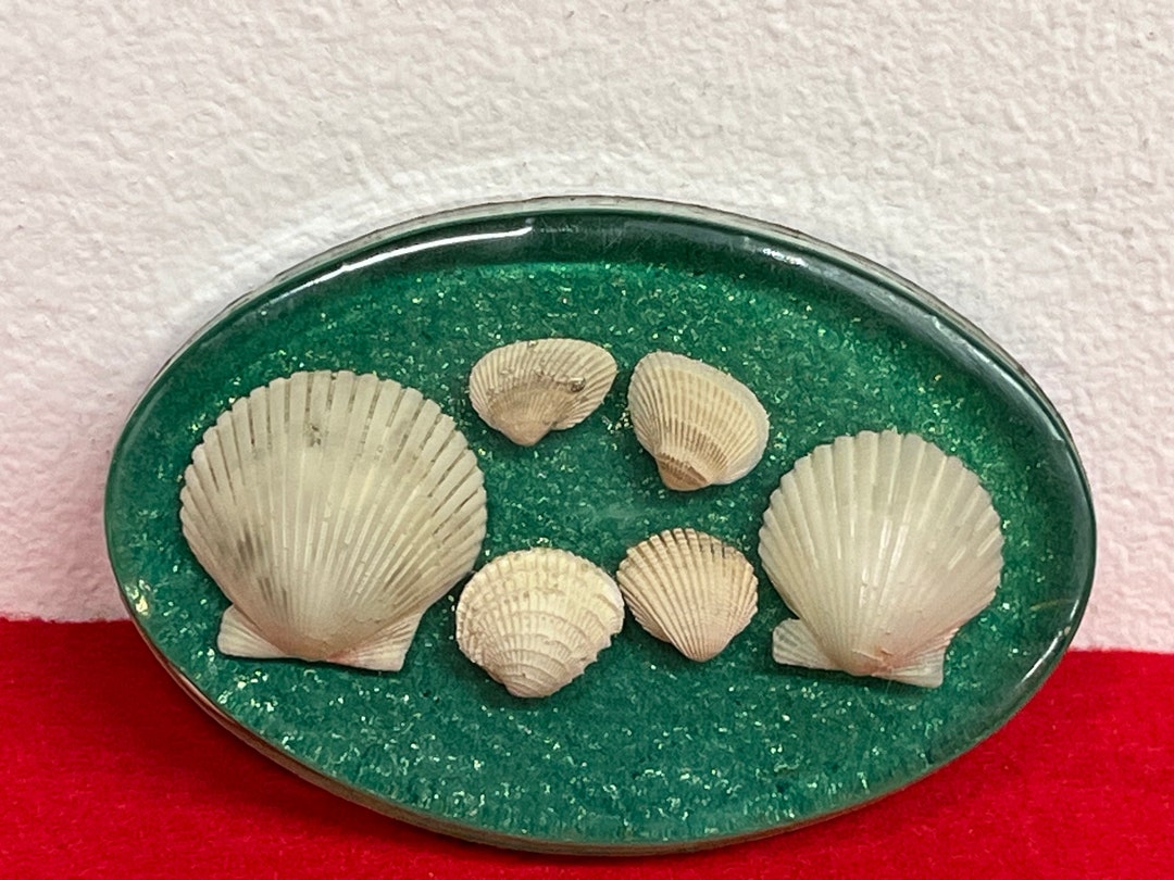 Vintage Seashells Encased in Plastic Paperweight - Etsy