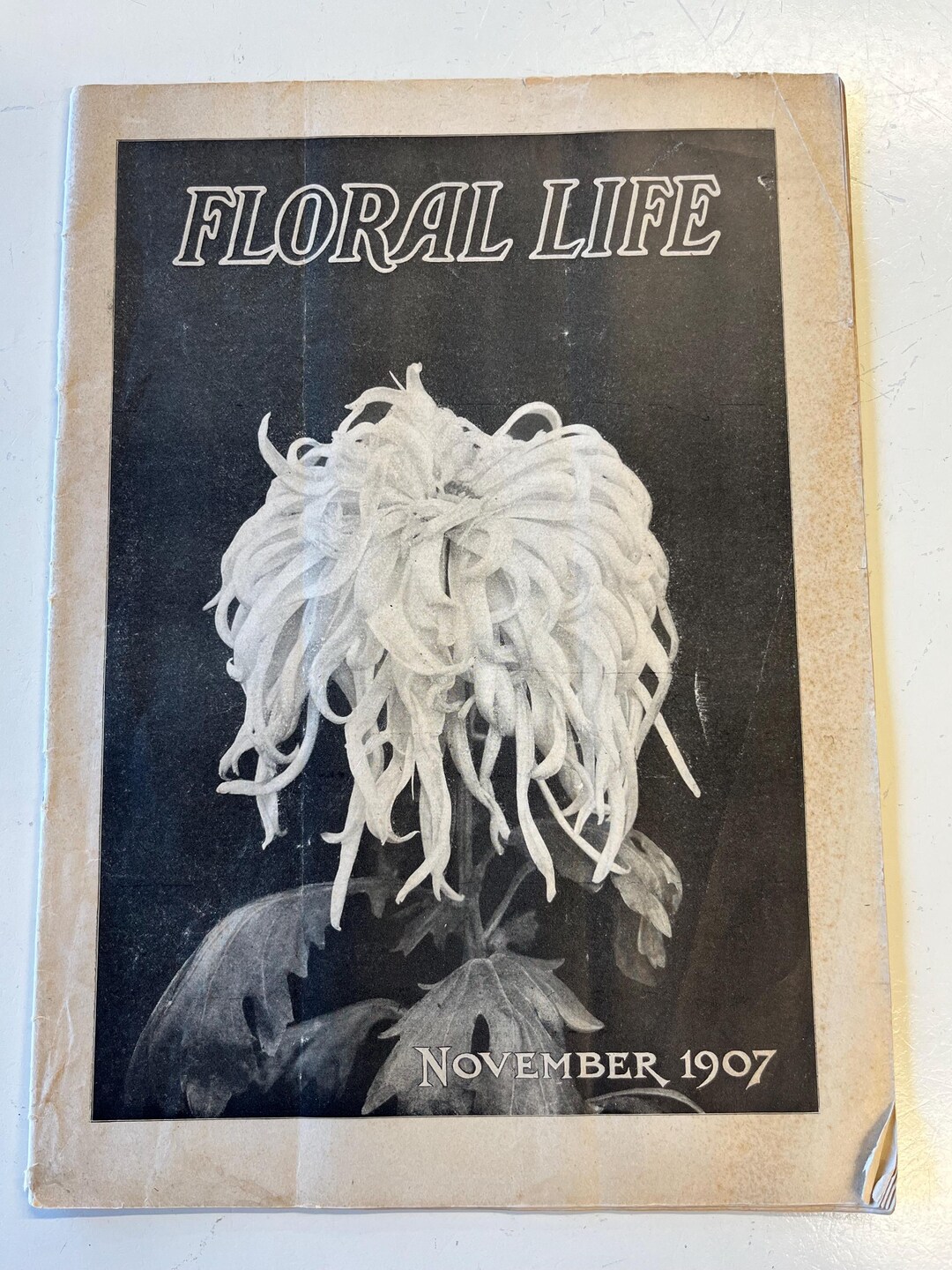 Antique Original November 1907 Floral Life Magazine Back Issue - Etsy