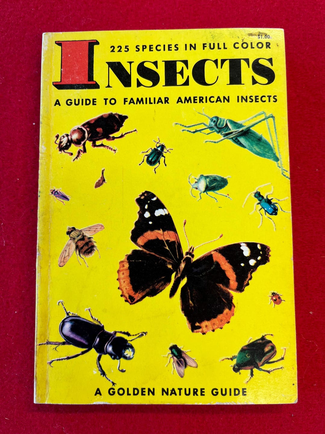 Vintage 1956 Insects A Guide to Familiar American Insects Illustrated ...