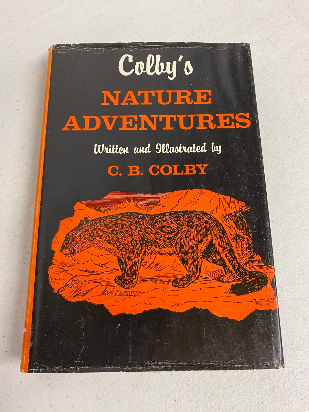 Vintage 1961 Colby’s Nature Adventures by C.B. Colby Children’s Story ...