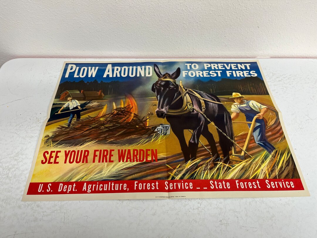 Vintage Original 1944 US Department of Agriculture Forest Service ...