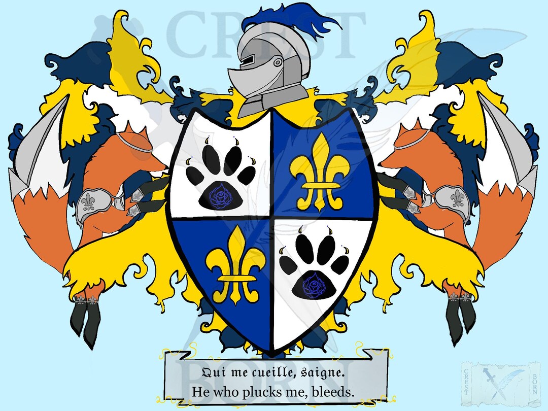 Custom Hand-drawn Coat of Arms–medieval Family Crest|personalized ...