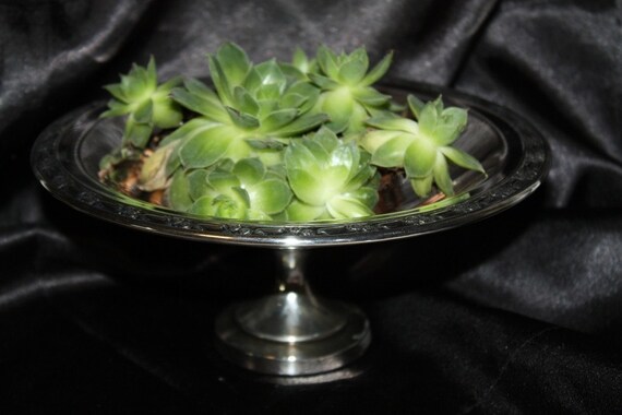 Items similar to Vintage Compote Silverplate by Oneida Silversmith on Etsy