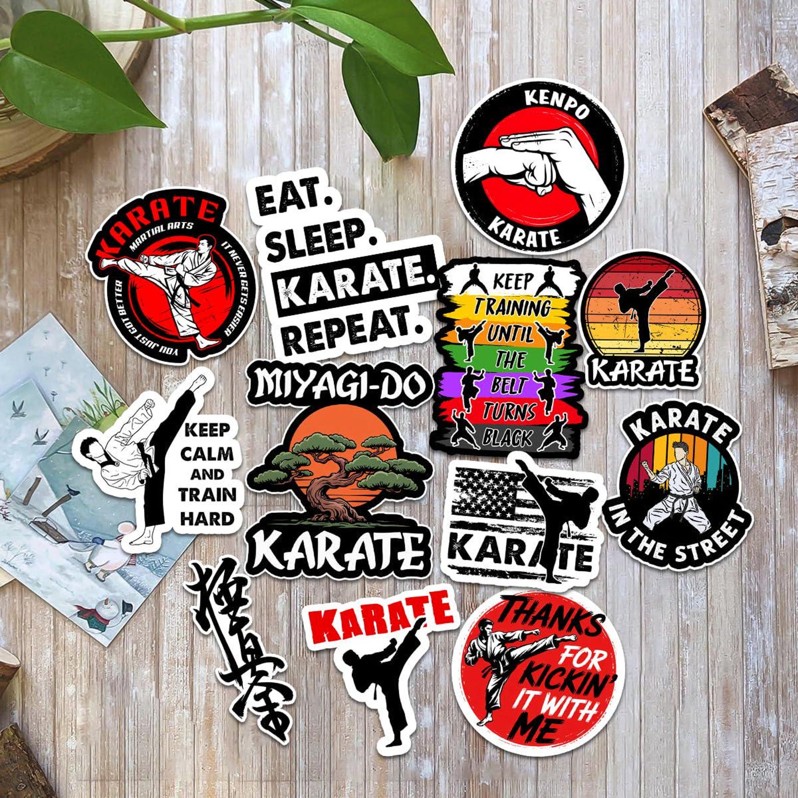 COMBO 12 PCS Karate Stickers, Karate Power Stickers, Karate Fighter ...