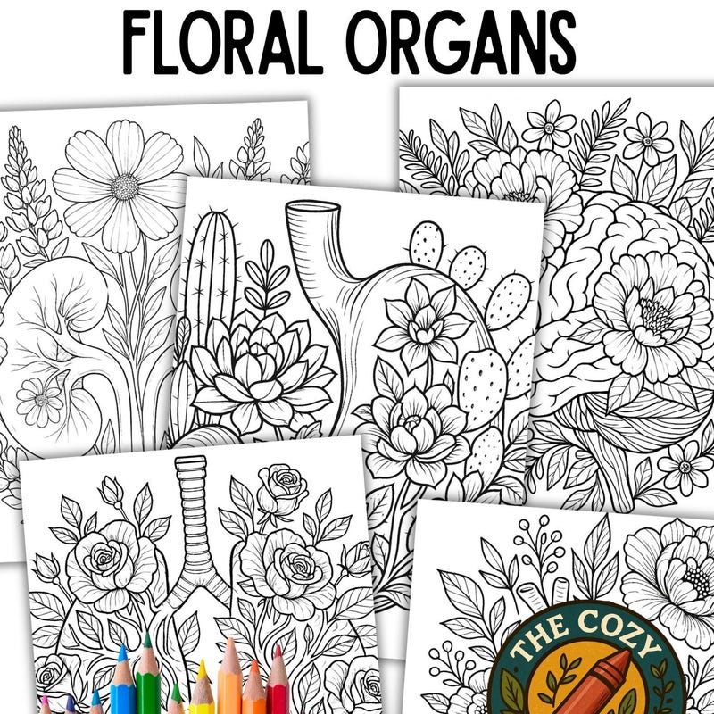 Anatomy Botanical Art - Etsy