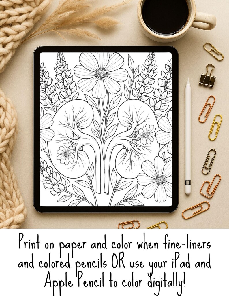 5 Floral Anatomy Coloring Pages: Human Organs & Botanical Art (PDF ...