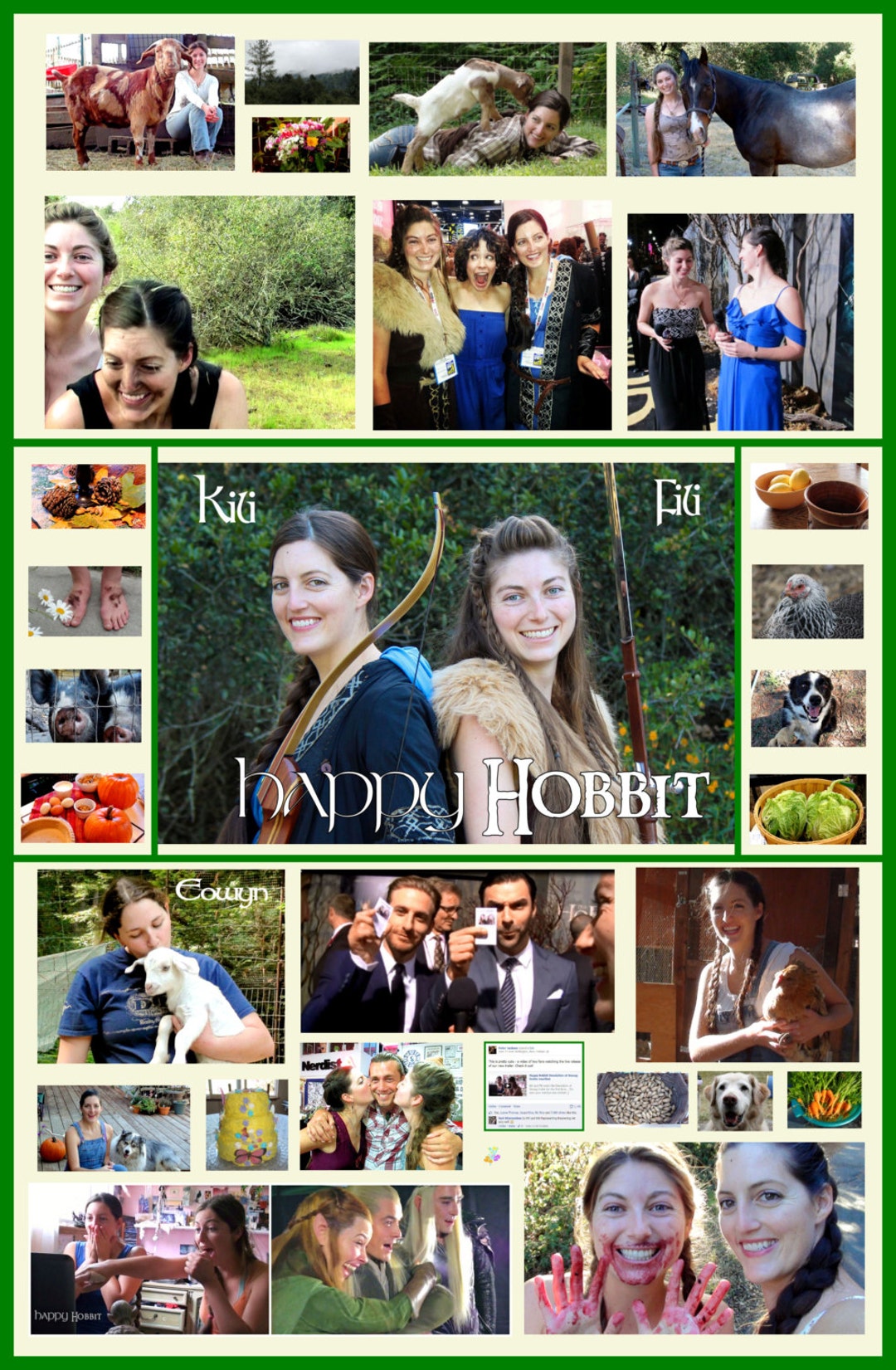 Happy Hobbit Collage Poster - Etsy