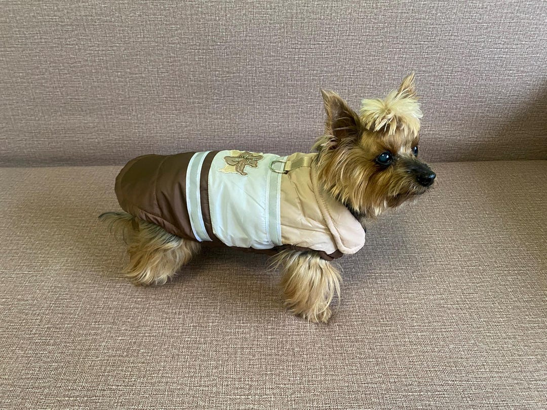 Brown-cream Quilted Jacket for Small Breeds – Warm Winter Coat in ...