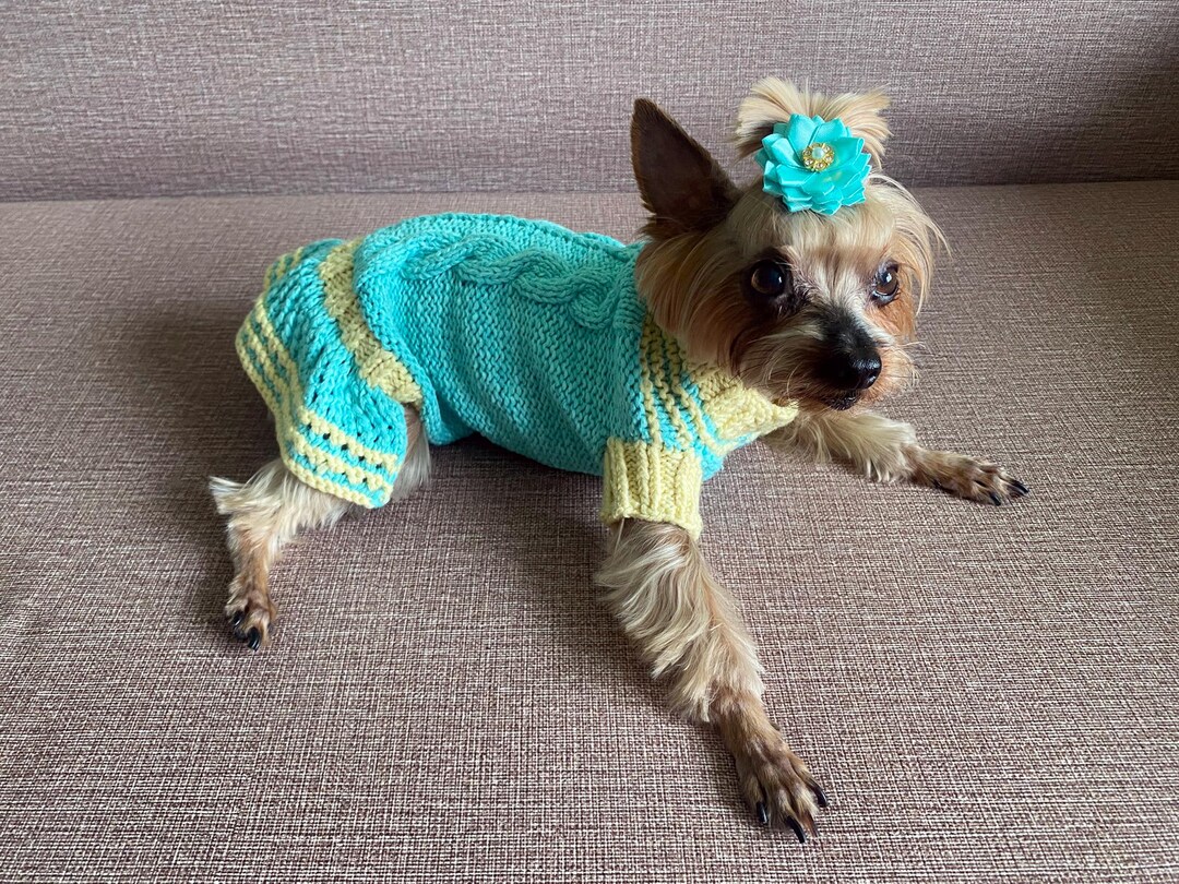 Pastel Blue & Yellow Dog Dress for Small Breeds - Hand-knit Attire in ...