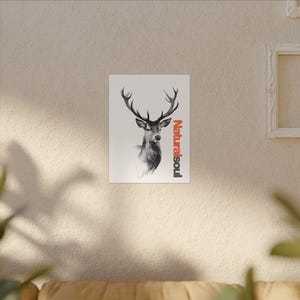 Champra - Etsy