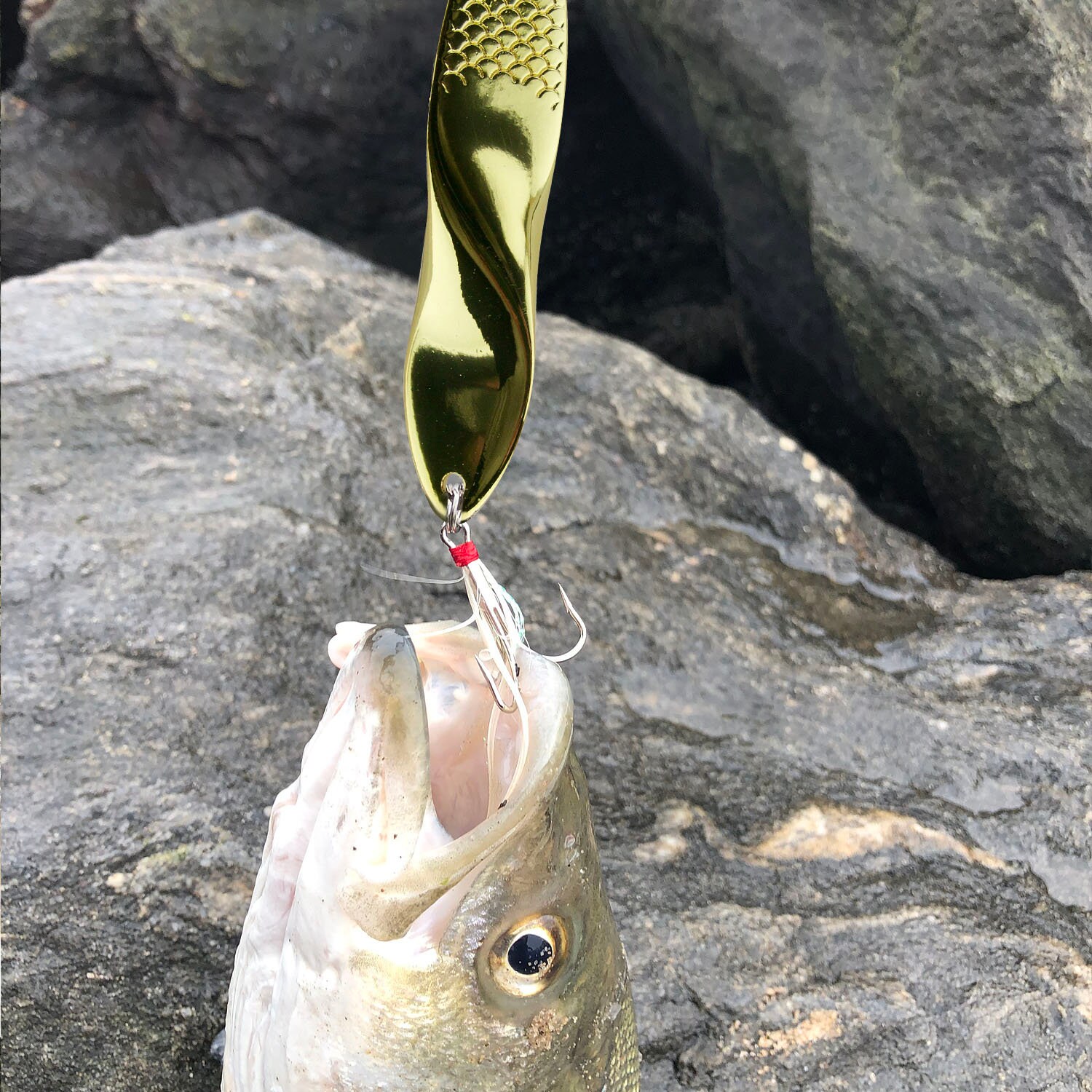 Set of 2 Propeller Metal Fishing Lures With Treble Hooks, 1-ounce, 28g ...